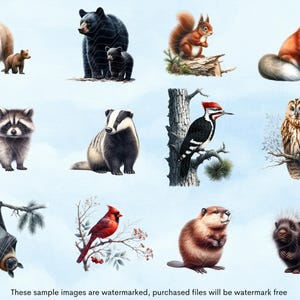 Forest Friends Clipart Bundle: 36 Woodland Animals PNG & SVG (digital ...