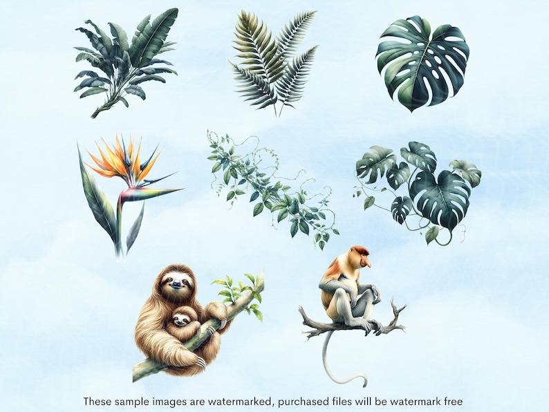In the Jungle Clipart Bundle - Jungle Animals Instant Download PNG and ...