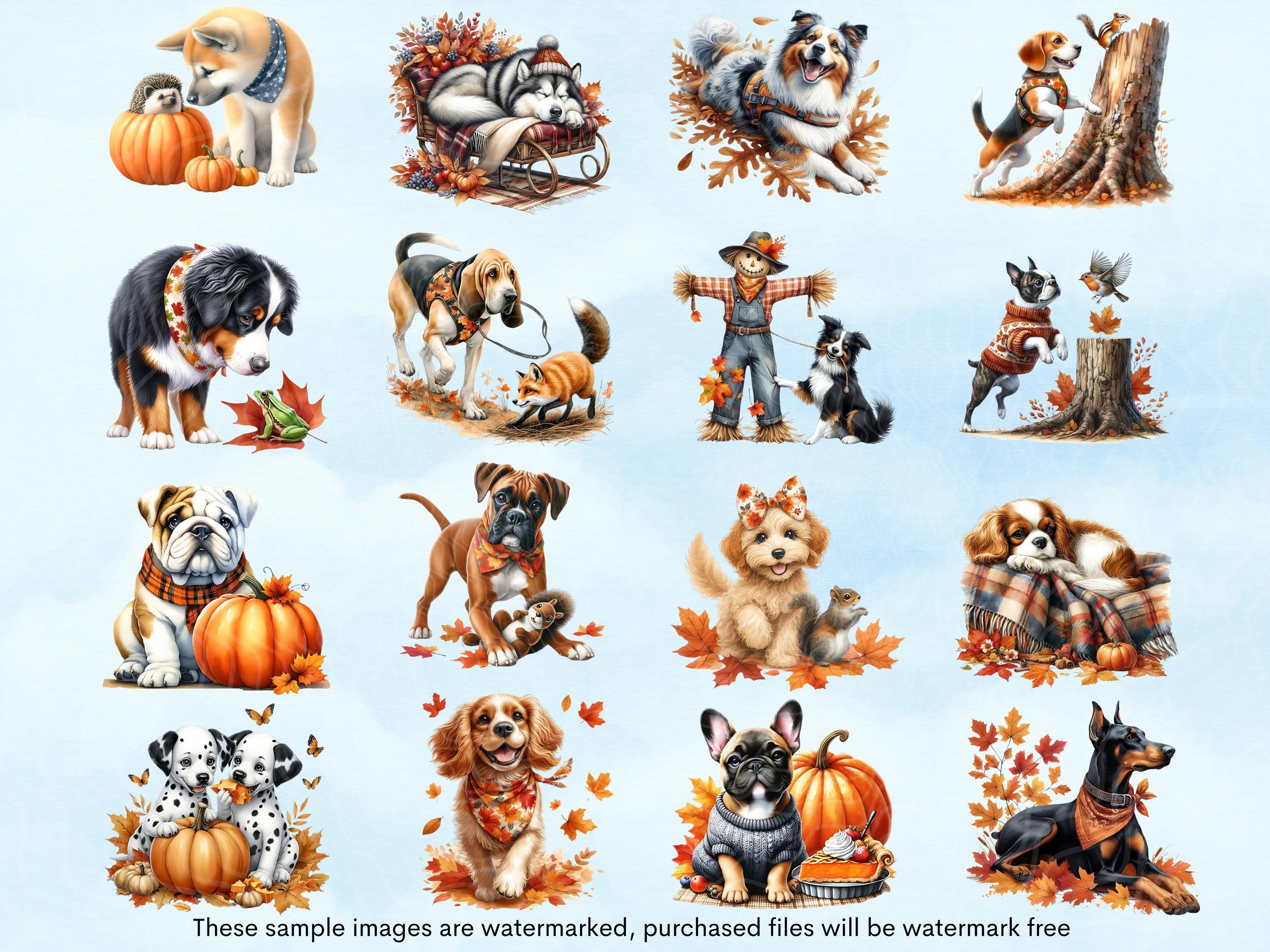 Autumn Dogs Clipart: 39 Breeds, Fall Watercolor Pngs (digital Download ...