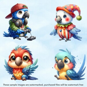 Cute Parrot Clipart Bundle, Baby Parrot, High Quality Pngs, Printable ...
