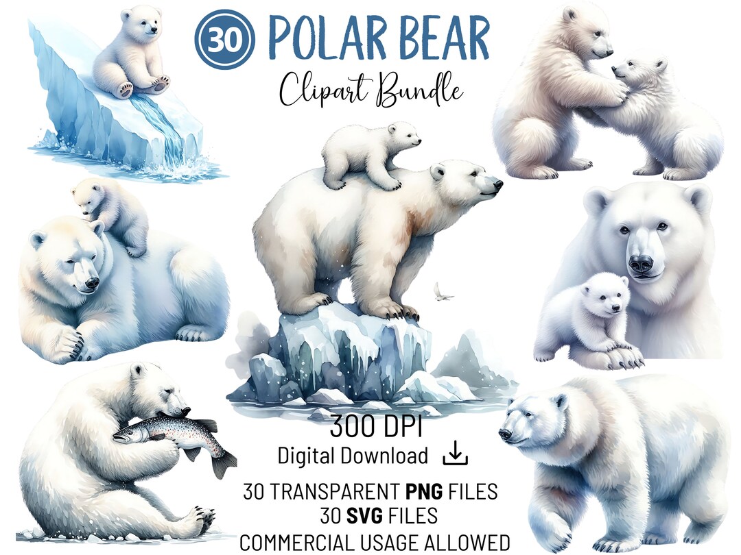Polar Bear Clipart Bundle Playful Polar Bear and Cubs Instant Download ...