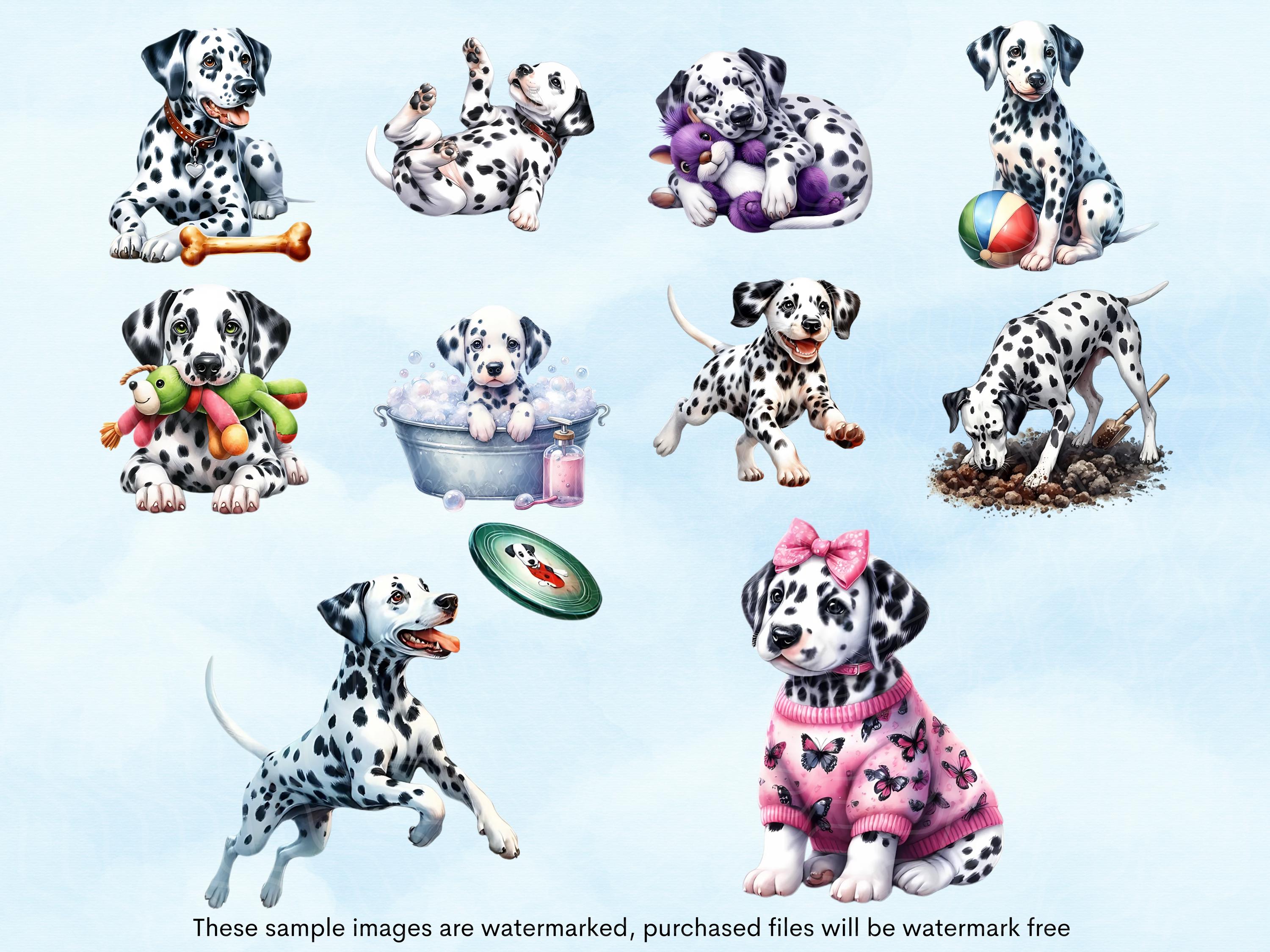 Cute Dalmatians Clipart Bundle, Playful Dalmatians, High Quality Pngs ...