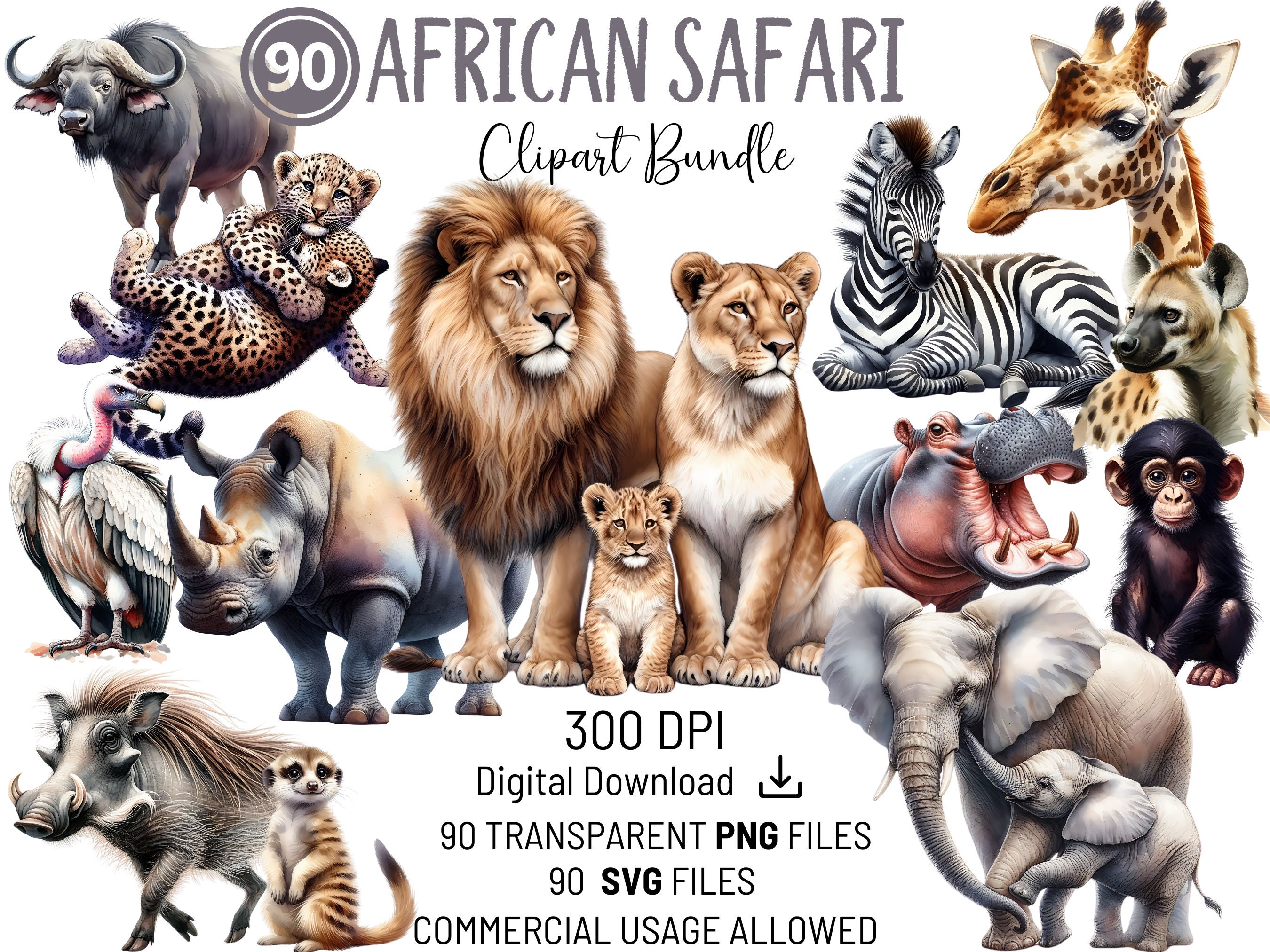 African Safari Clipart Bundle African Animals Instant Download PNG and ...