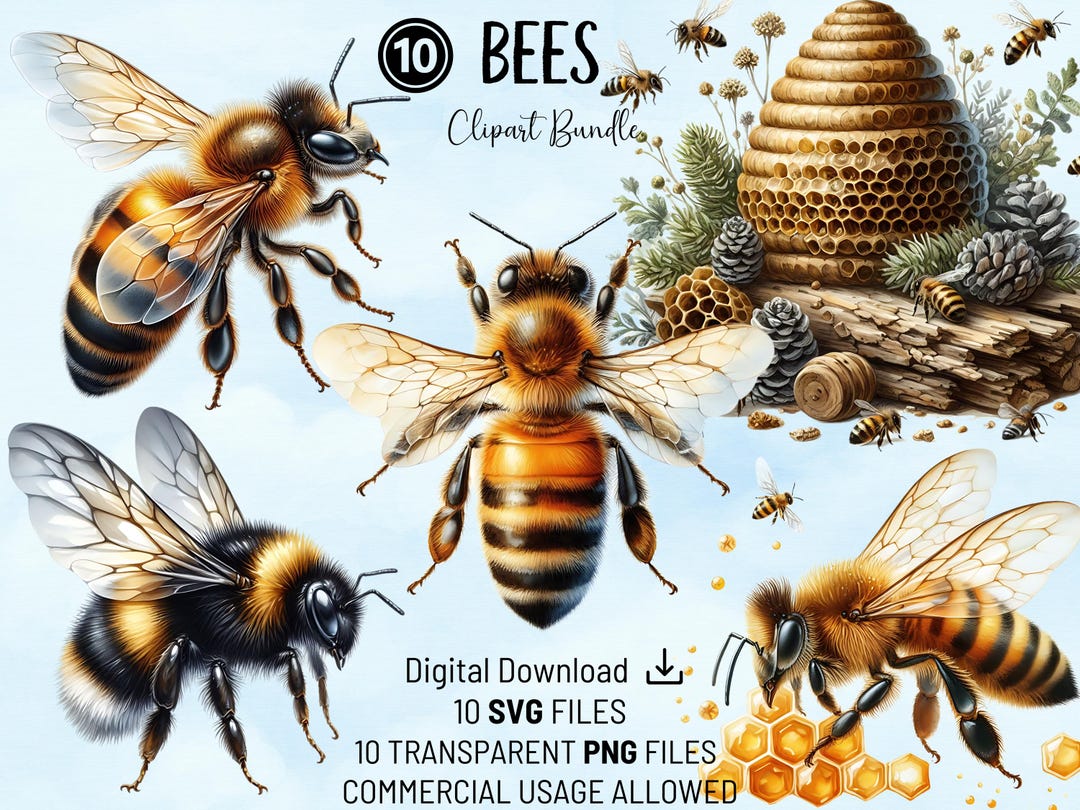 Bees Clipart Bundle: Honey Bees PNG & SVG Files (digital Download) - Etsy