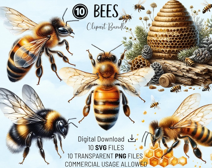 65 Images: Bee Clipart/png Bundle, Digital Download, Ukiyo Designs ...