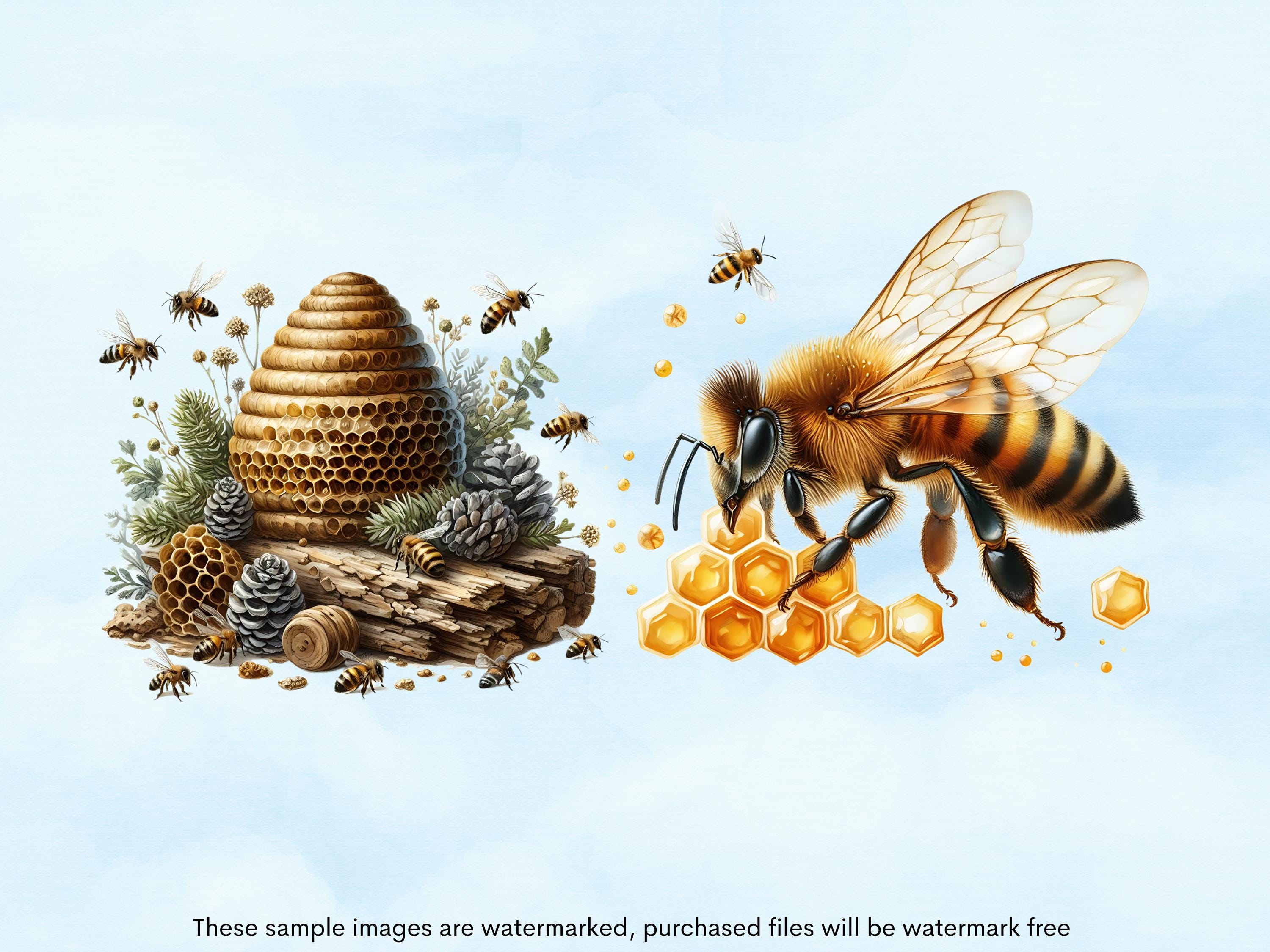 Bees Clipart Bundle: Honey Bees PNG & SVG Files (digital Download) - Etsy