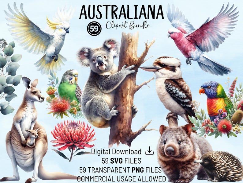 Australiana Clipart Bundle: Native Animals & Plants (PNG, SVG, Digital ...