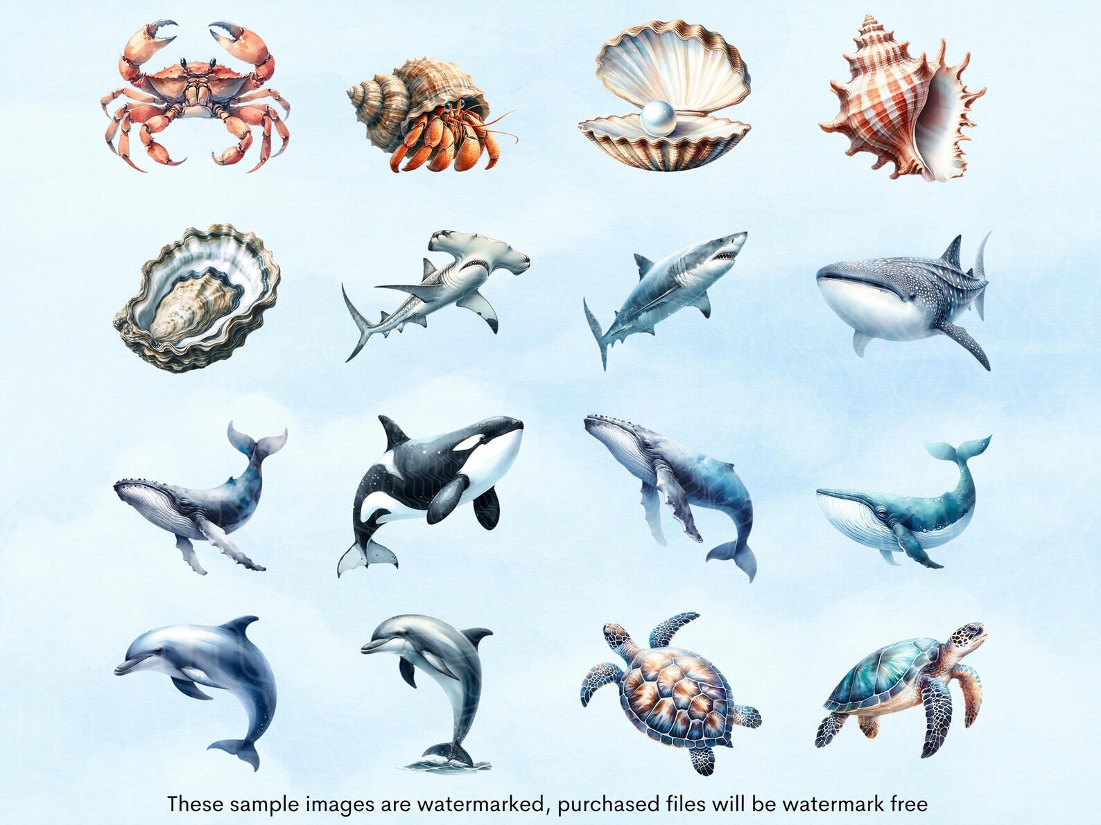 Ocean Life Clipart Bundle, Under the Sea, Sea Life PNG and SVG for ...
