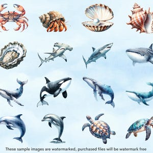 Ocean Life Clipart Bundle, Under the Sea, Sea Life PNG and SVG for ...