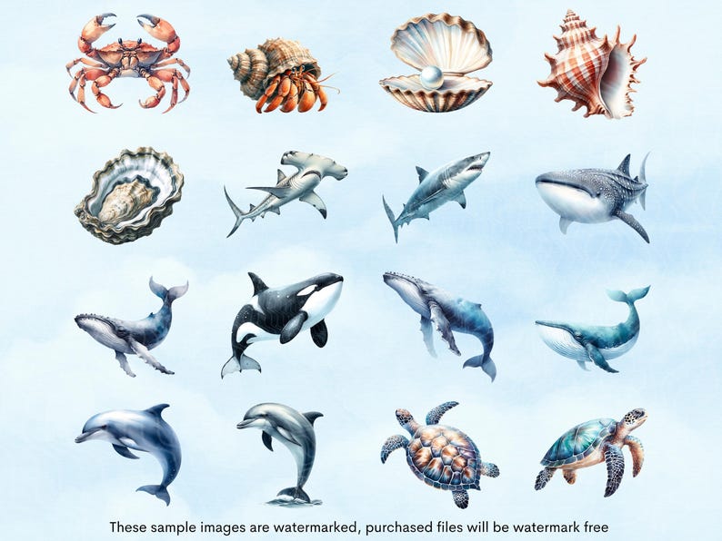 Ocean Life Clipart Bundle, Under the Sea, Sea Life PNG and SVG for ...