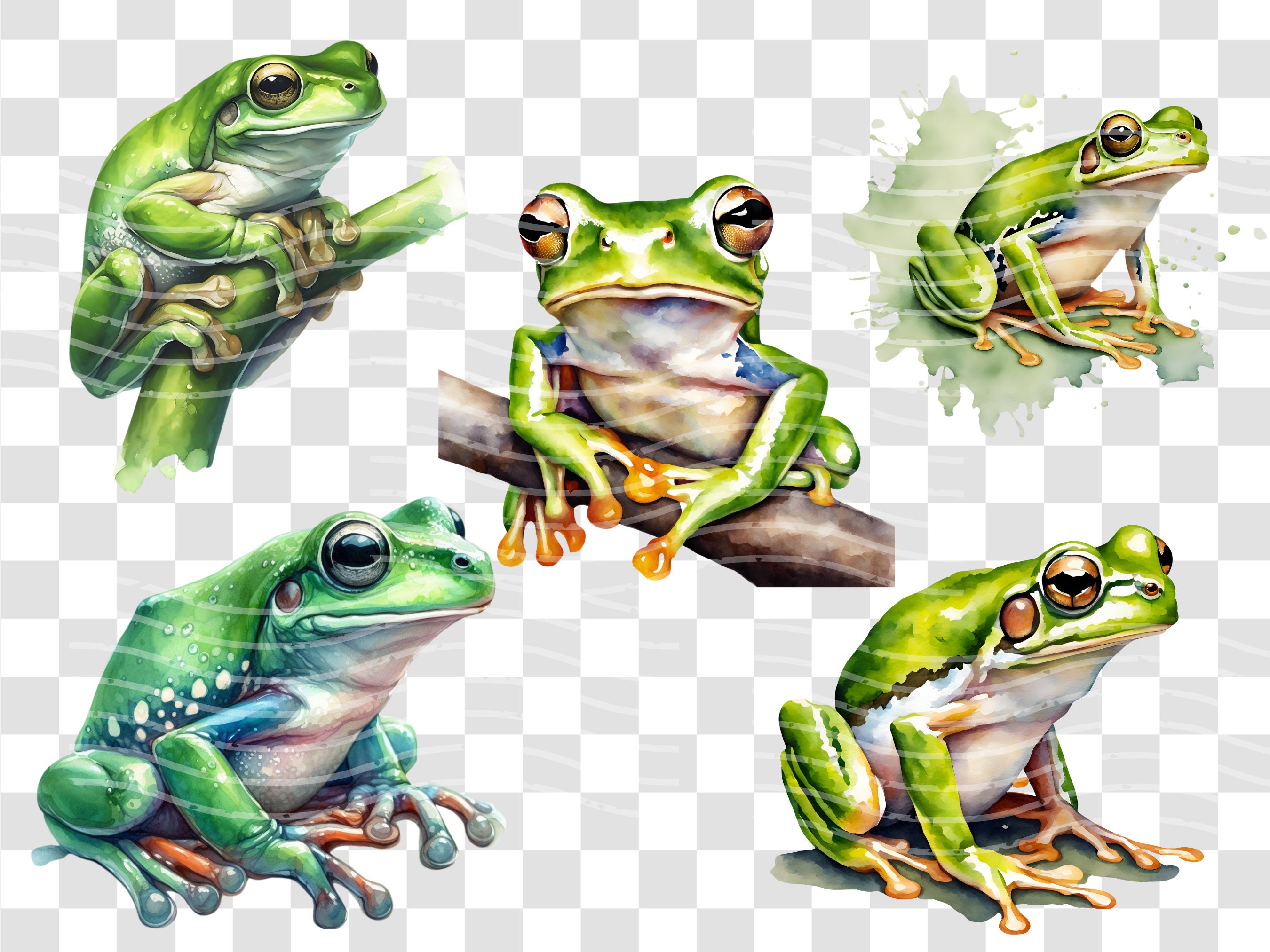 Watercolor Green Tree Frog Clipart Bundle PNG and SVG Files for ...