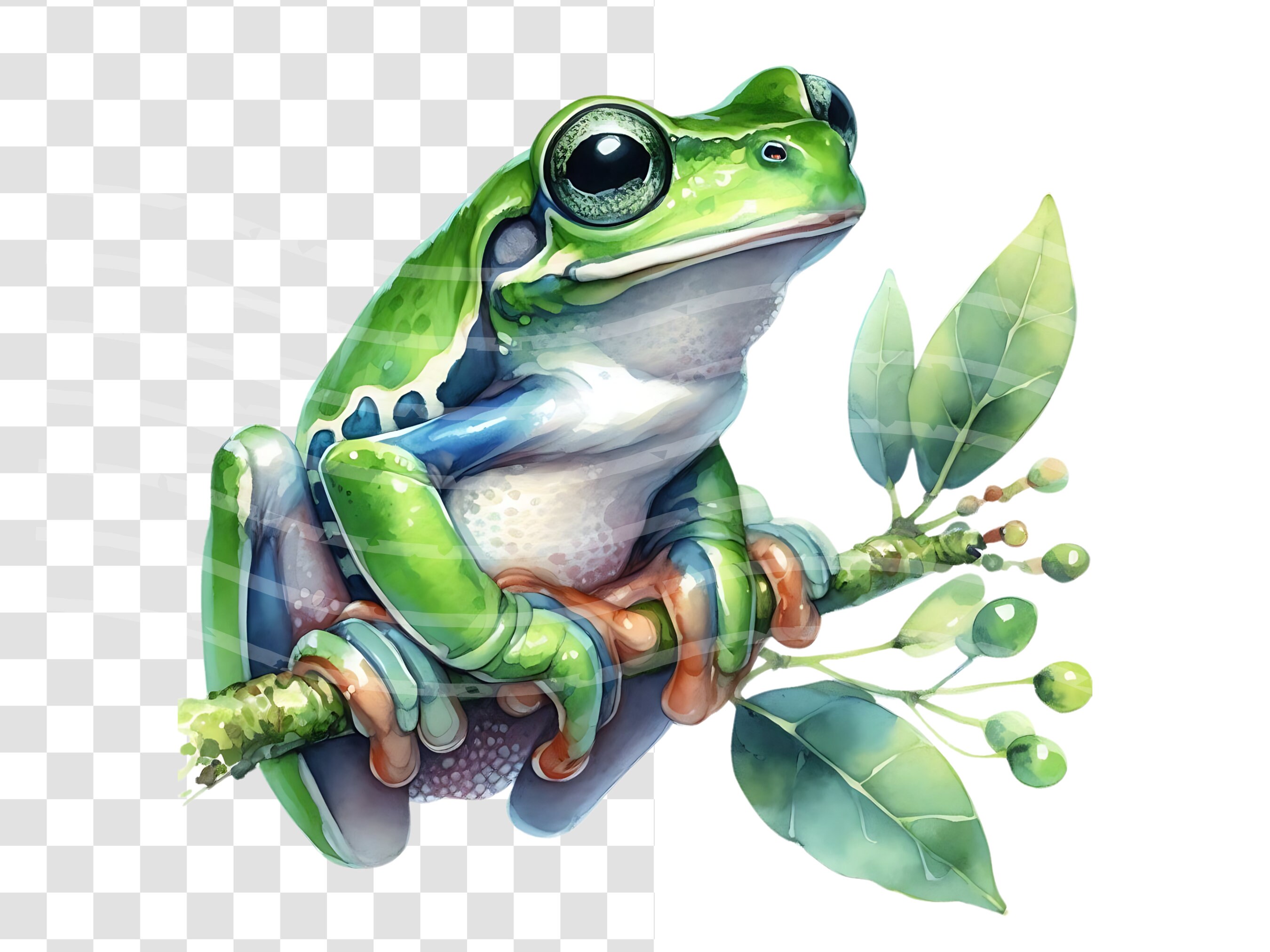 Watercolor Green Tree Frog Clipart Bundle PNG and SVG Files for ...