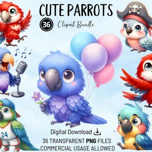 Cute Parrot Clipart Bundle, Baby Parrot, High Quality Pngs, Printable ...