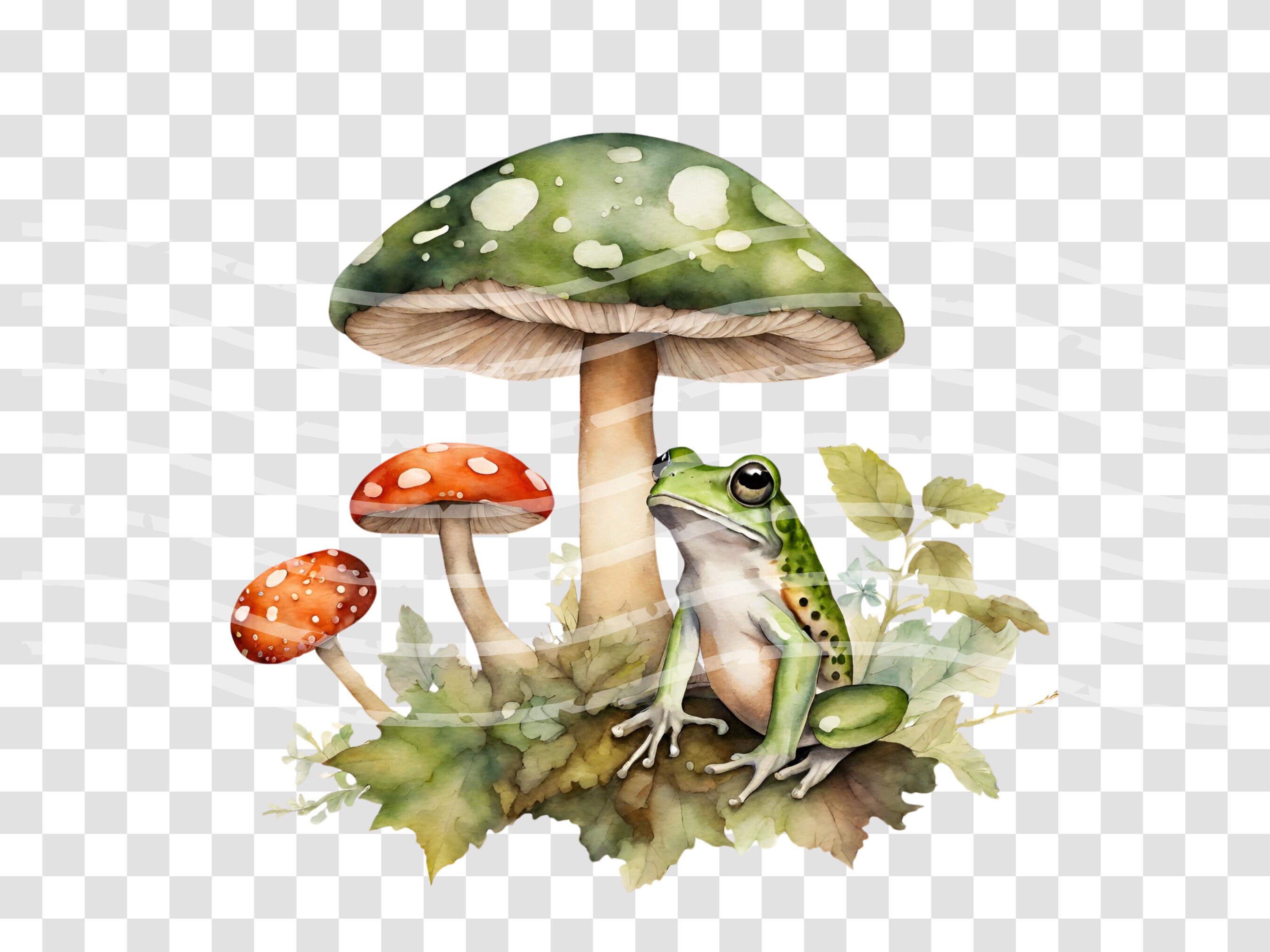 Toadstool Mushroom Clipart Bundle, Watercolor Commercial Use ...