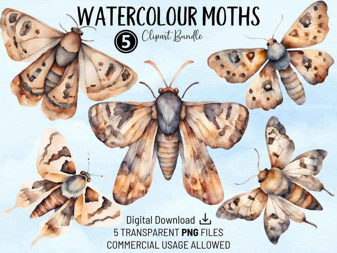 Watercolor Moth Clipart Bundle: Luna Moth PNG (digital Download) - Etsy