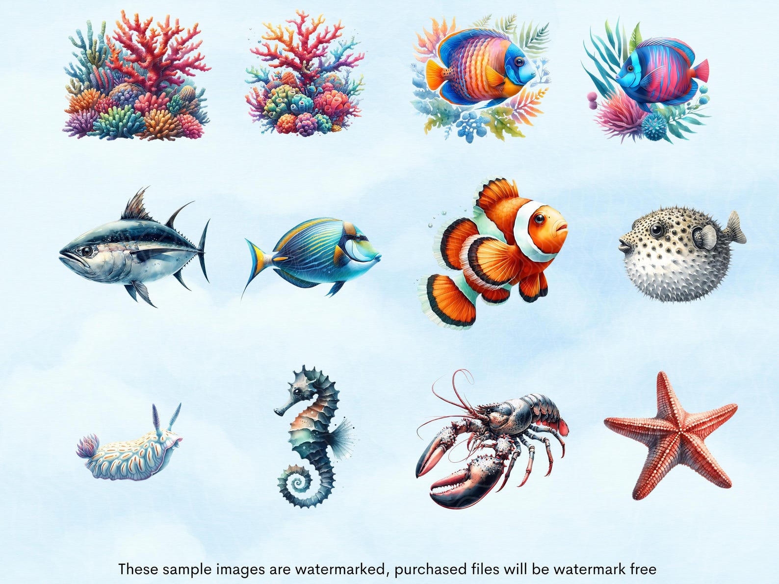 Ocean Life Clipart Bundle, Under the Sea, Sea Life PNG and SVG for ...