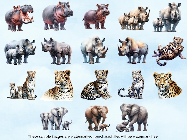 African Safari Clipart Bundle - African Animals Instant Download PNG ...