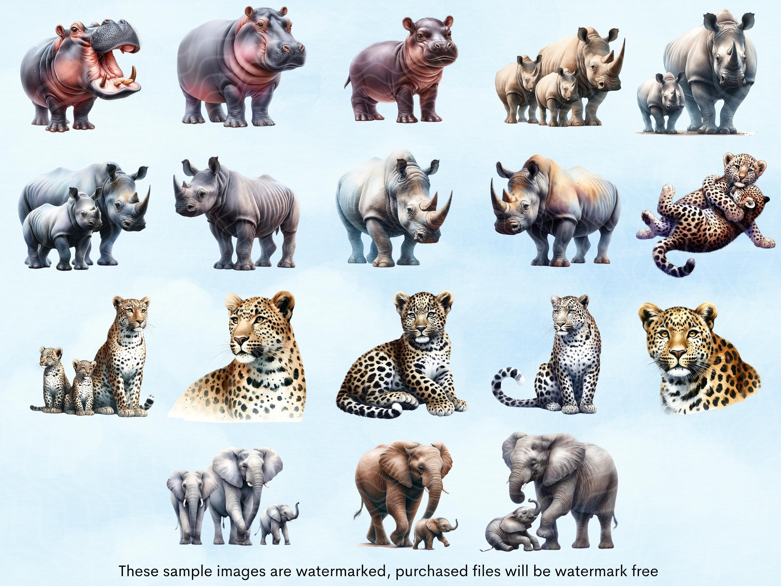 African Safari Clipart Bundle - African Animals Instant Download PNG ...