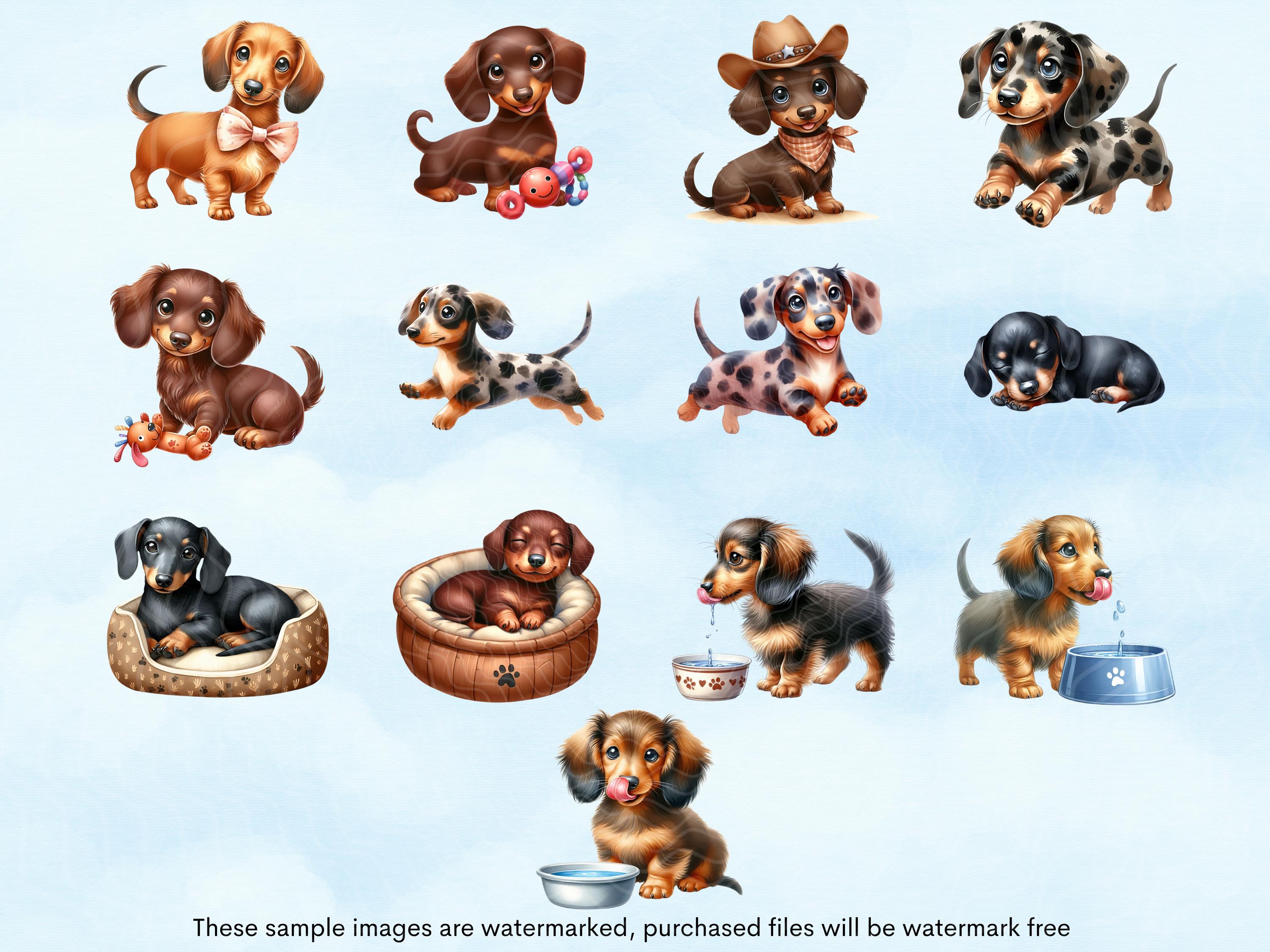Cute Dachshunds Clipart Bundle - Playful Dachshund Instant Download PNG ...