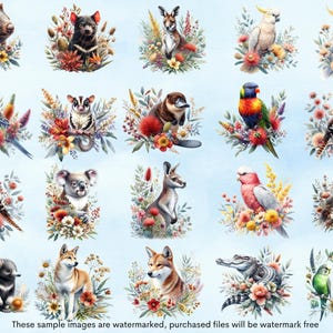 Australiana Clipart Bundle: Native Animals & Plants (PNG, SVG, Digital ...