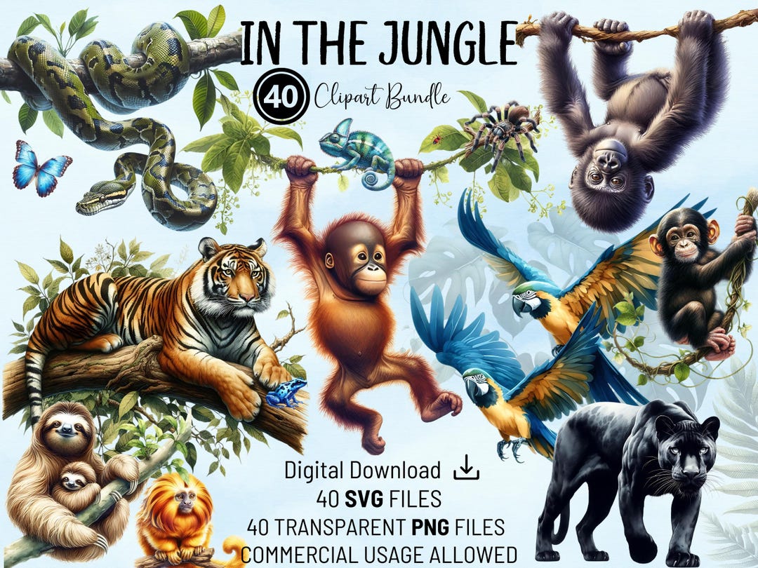 Jungle Animals Clipart Bundle: PNG & SVG Files (digital Download) - Etsy