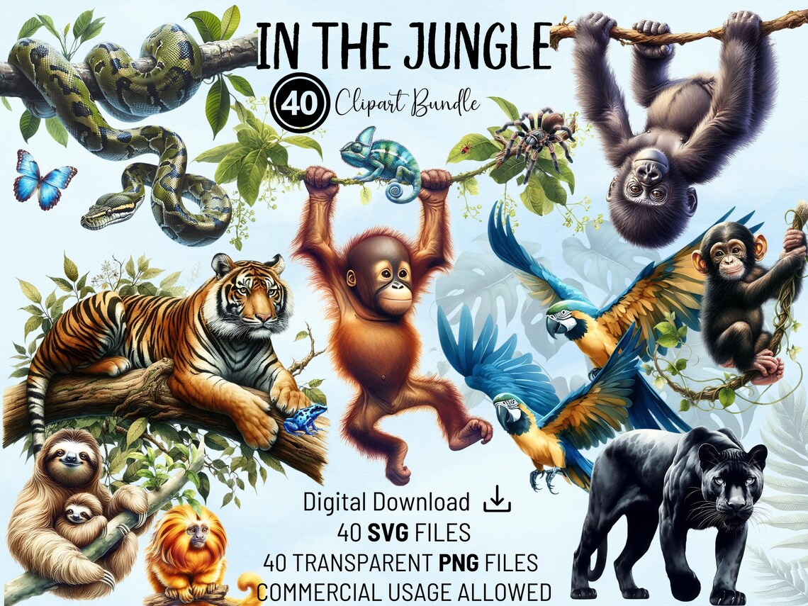 Jungle Animals Clipart Bundle: PNG & SVG Files (digital Download) - Etsy