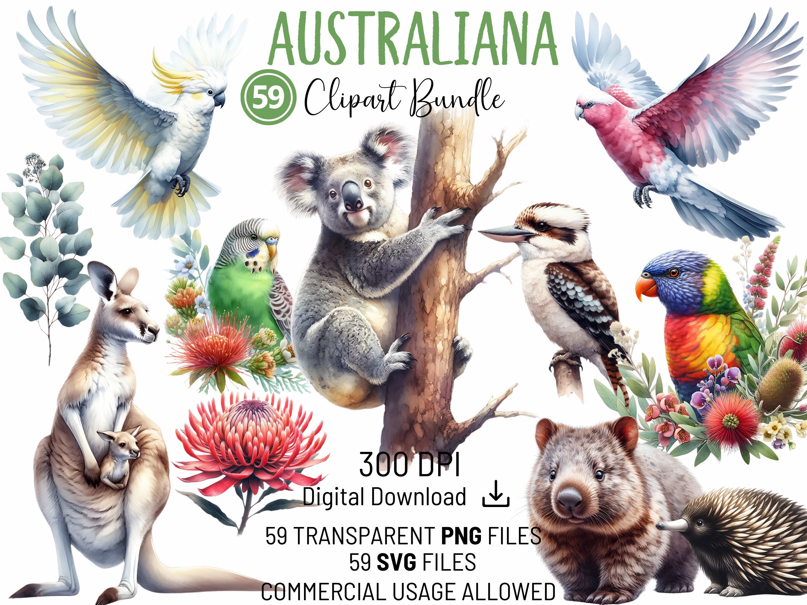 Australiana Clipart Bundle Native Australian Plants and Animals Instant ...