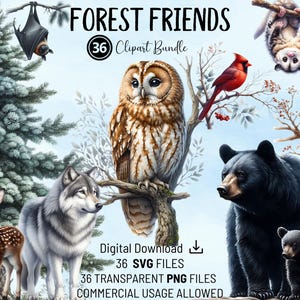 Forest Friends Clipart Bundle: 36 Woodland Animals PNG & SVG (digital ...