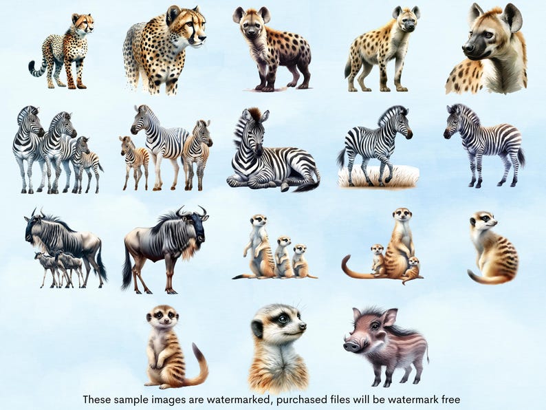 African Safari Clipart Bundle African Animals Instant Download PNG and ...