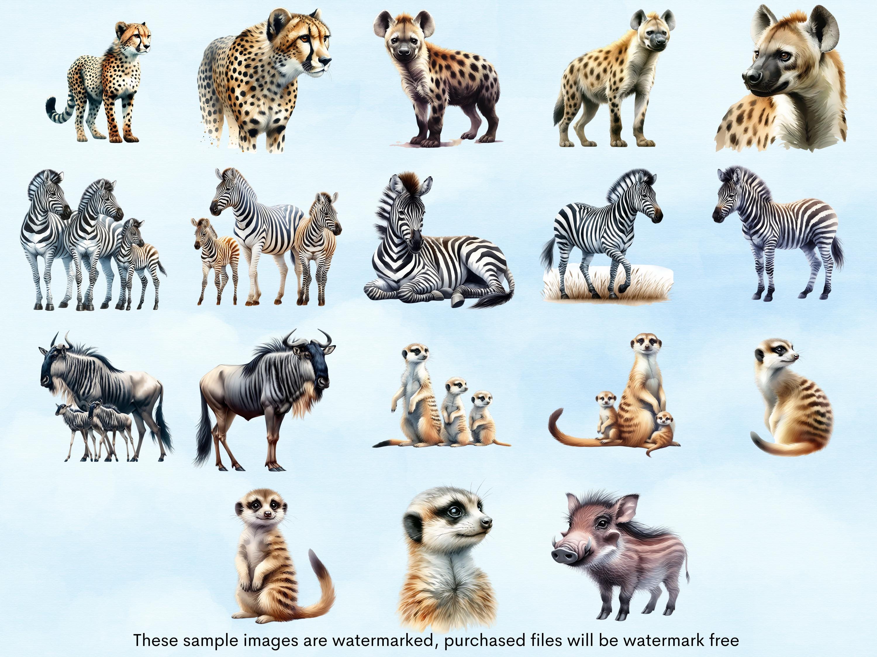 African Safari Clipart Bundle African Animals Instant Download PNG and ...