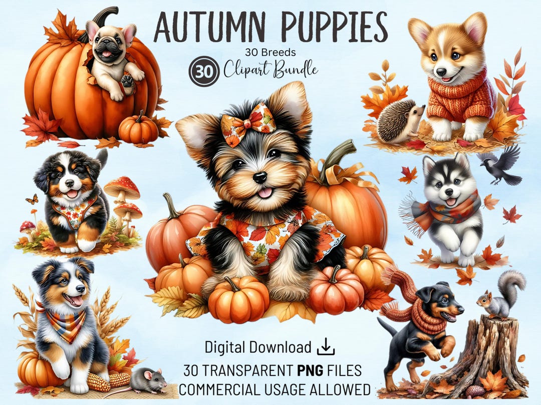 Autumn Puppies Clipart Bundle, 30 Dog Breeds Fall Designs, High Quality ...