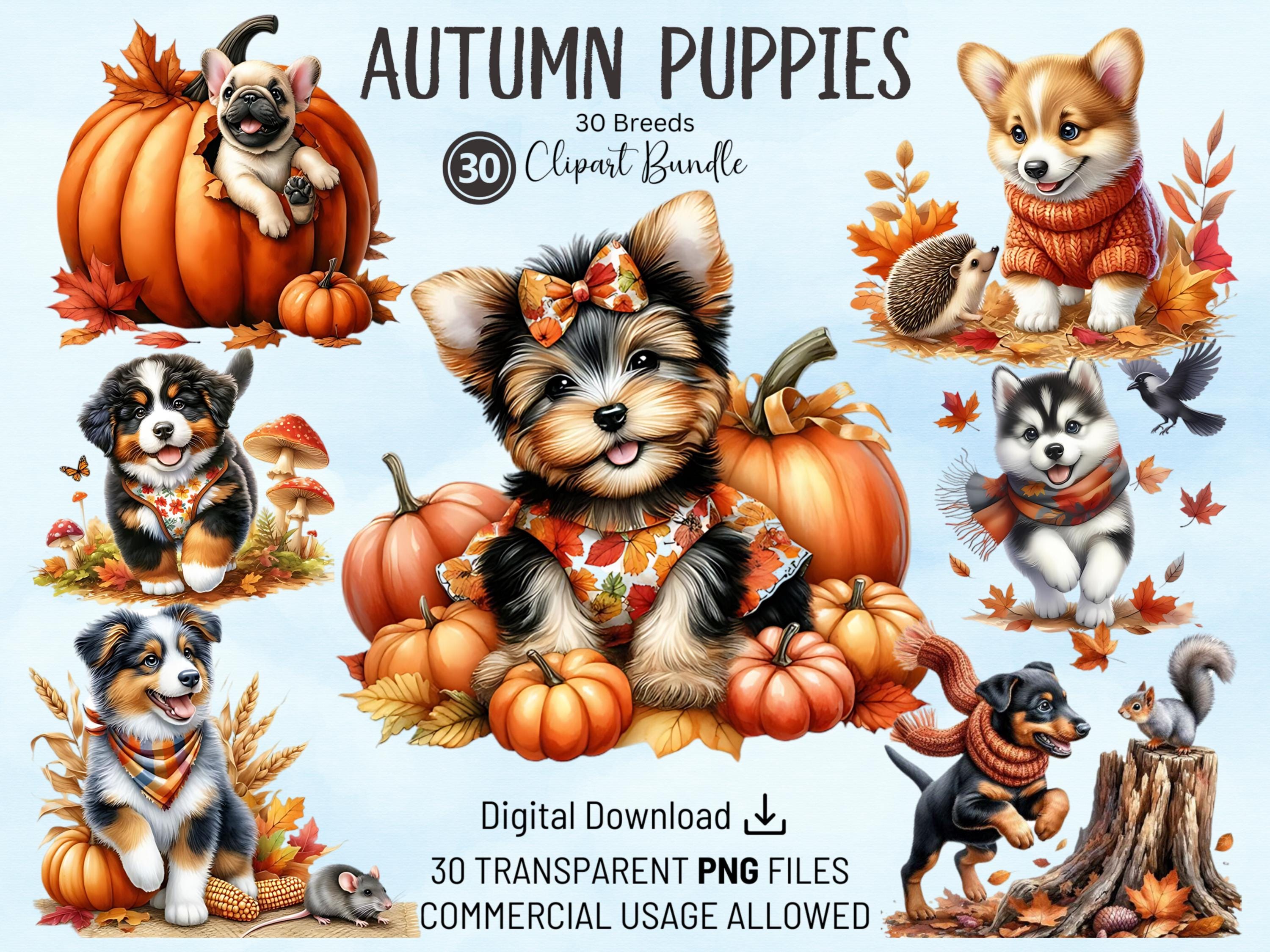 Autumn Puppies Clipart Bundle, 30 Dog Breeds Fall Designs, High Quality ...