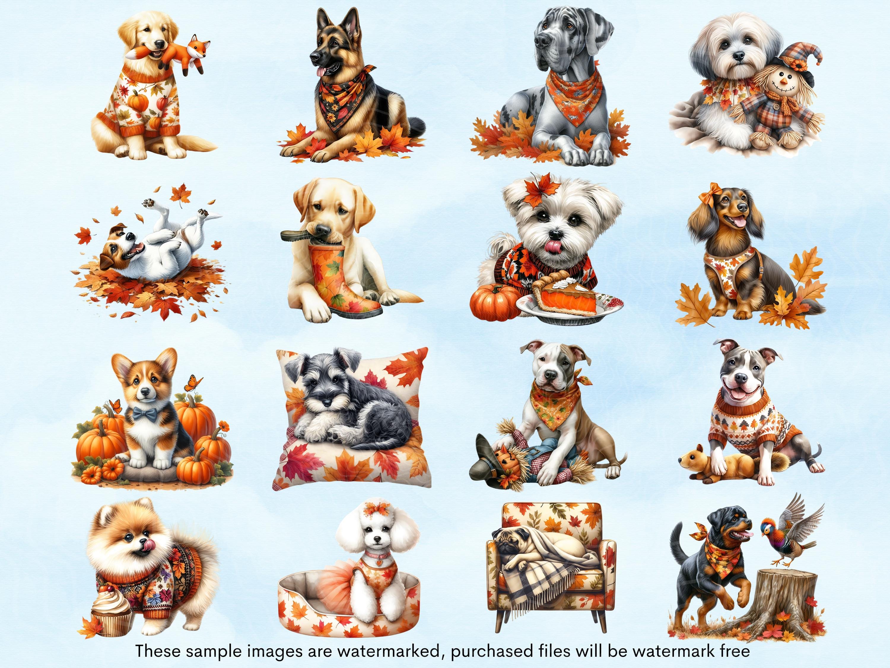 Autumn Dogs Clipart: 39 Breeds, Fall Watercolor Pngs (digital Download ...