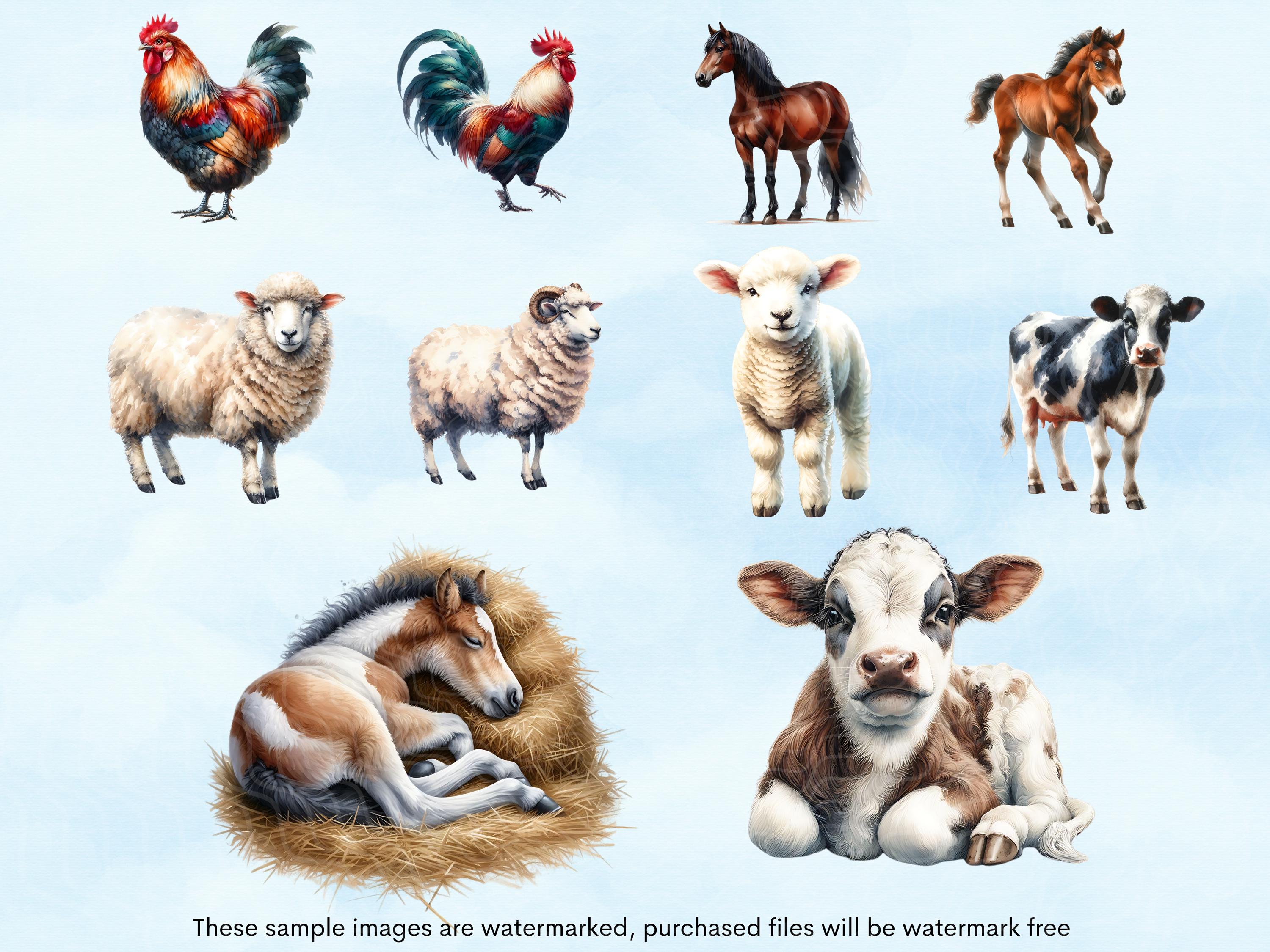 Farm Animals Clipart Bundle: 32 PNG & SVG Files (digital Download) - Etsy