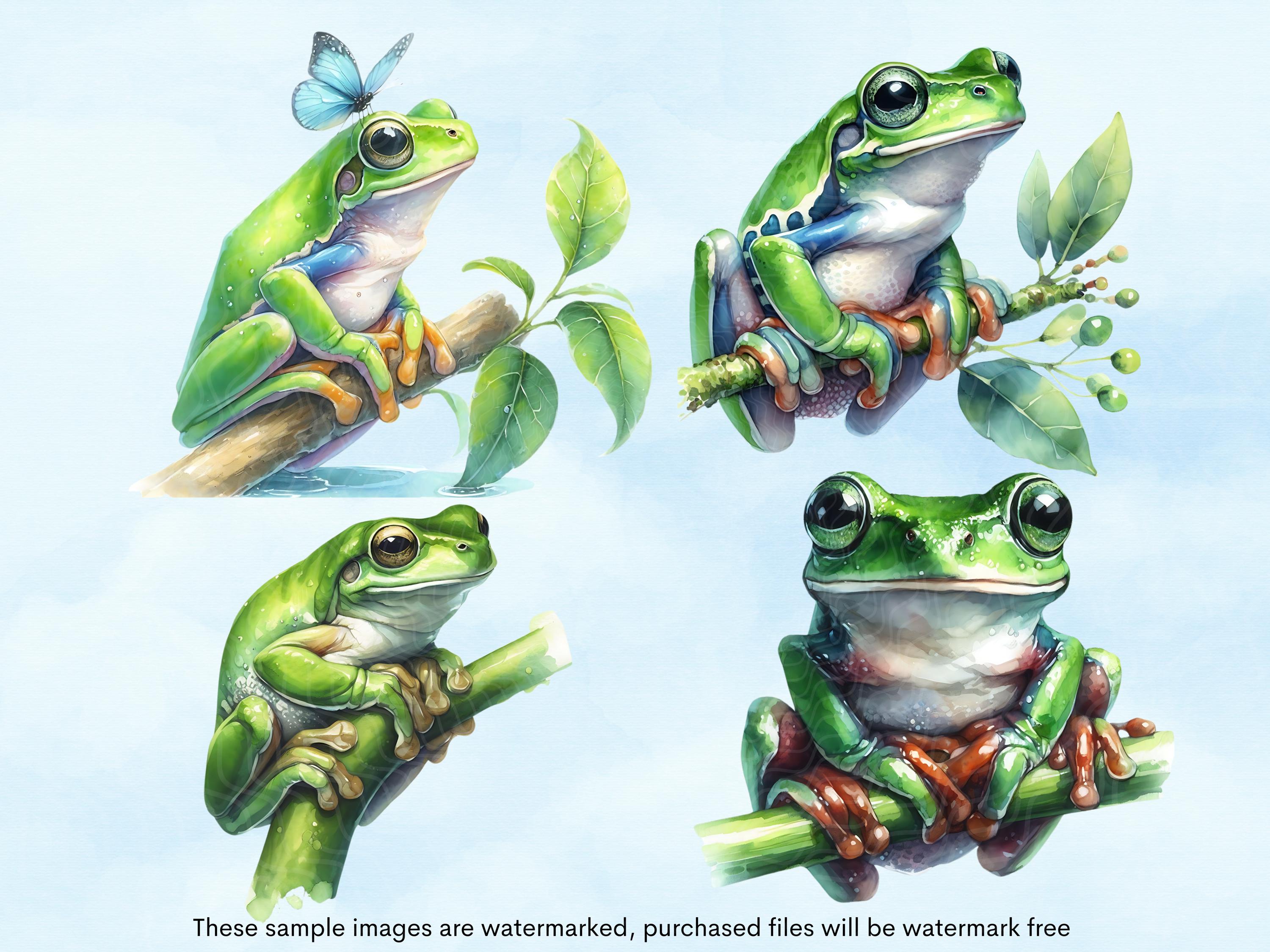 Watercolor Green Tree Frog Clipart Bundle - PNG and SVG Files for ...