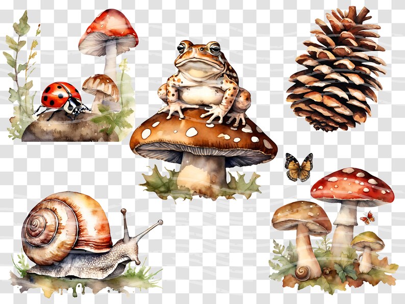 Forest Goblincore Clipart Bundle, Watercolor Commercial Use Transparent ...