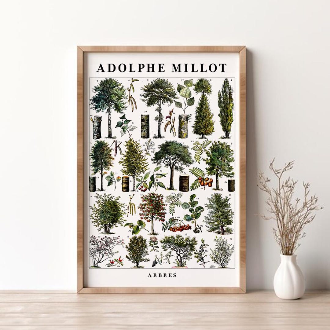 Trees Chart Poster, Vintage Trees Poster, Retro Decor Poster, Poster ...