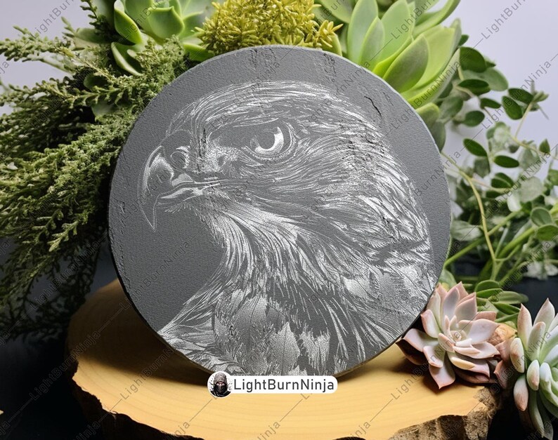 Hawk Head Falcon Bald Eagle Raptor Bird of Prey Predator Wild Laser ...