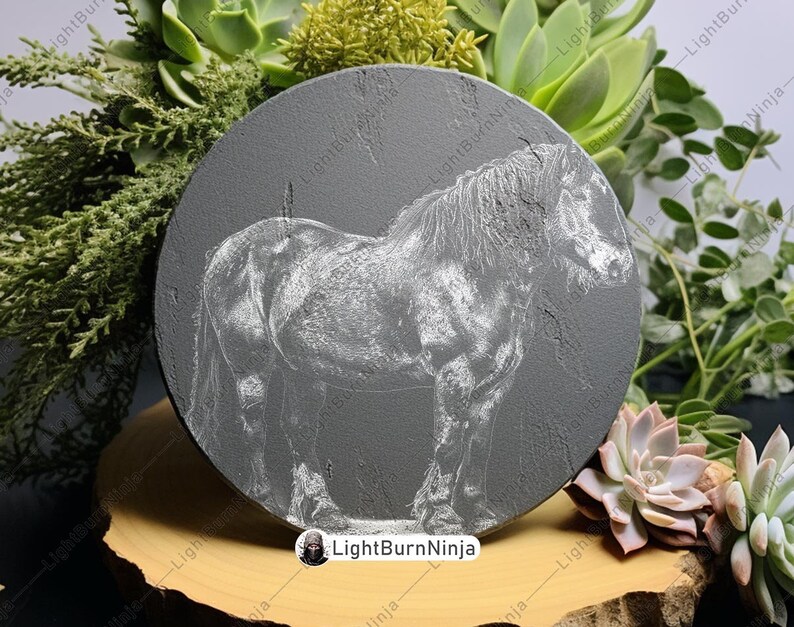 Big Draft Horse Shire Workhorse Pony Mare Stallion Farm Ranch Laser ...