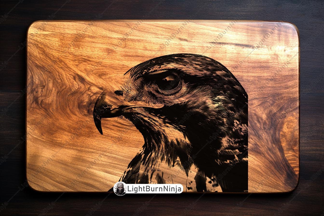 Hawk Head Falcon Bald Eagle Raptor Bird of Prey Predator Wild Laser ...