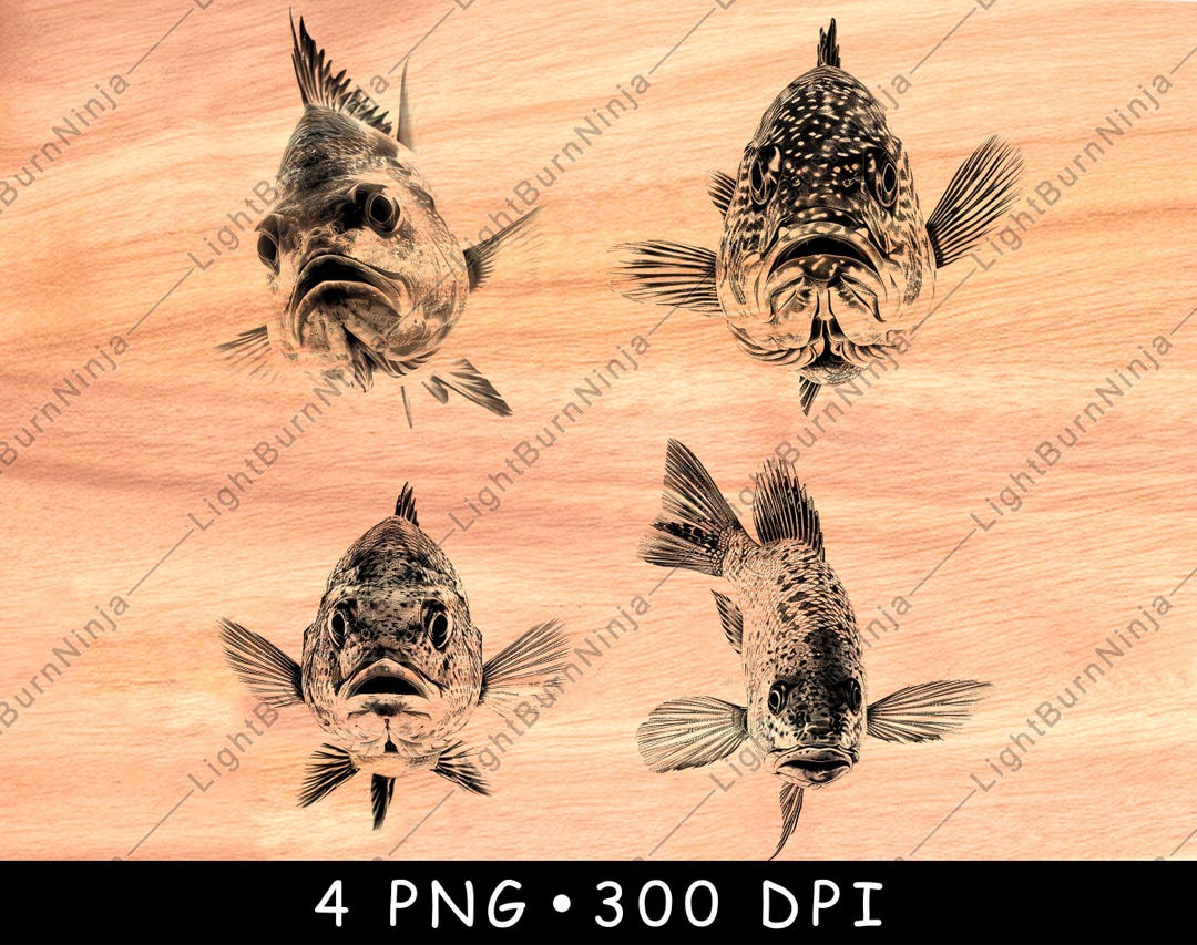 Crappie Fish Wildlife Aquatic Freshwater Species Scales Fins Laser File ...