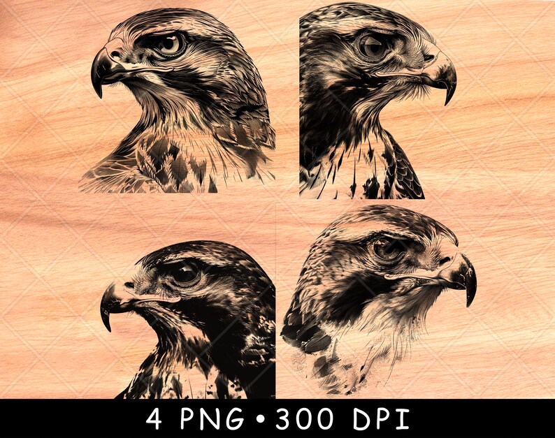 Hawk Head Falcon Bald Eagle Raptor Bird of Prey Predator Wild Laser ...