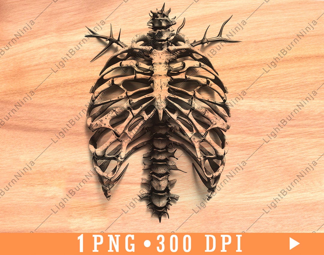 Ribcage Spiked Spine Thorns Spooky Human Skeleton Fantasy Art Laser ...