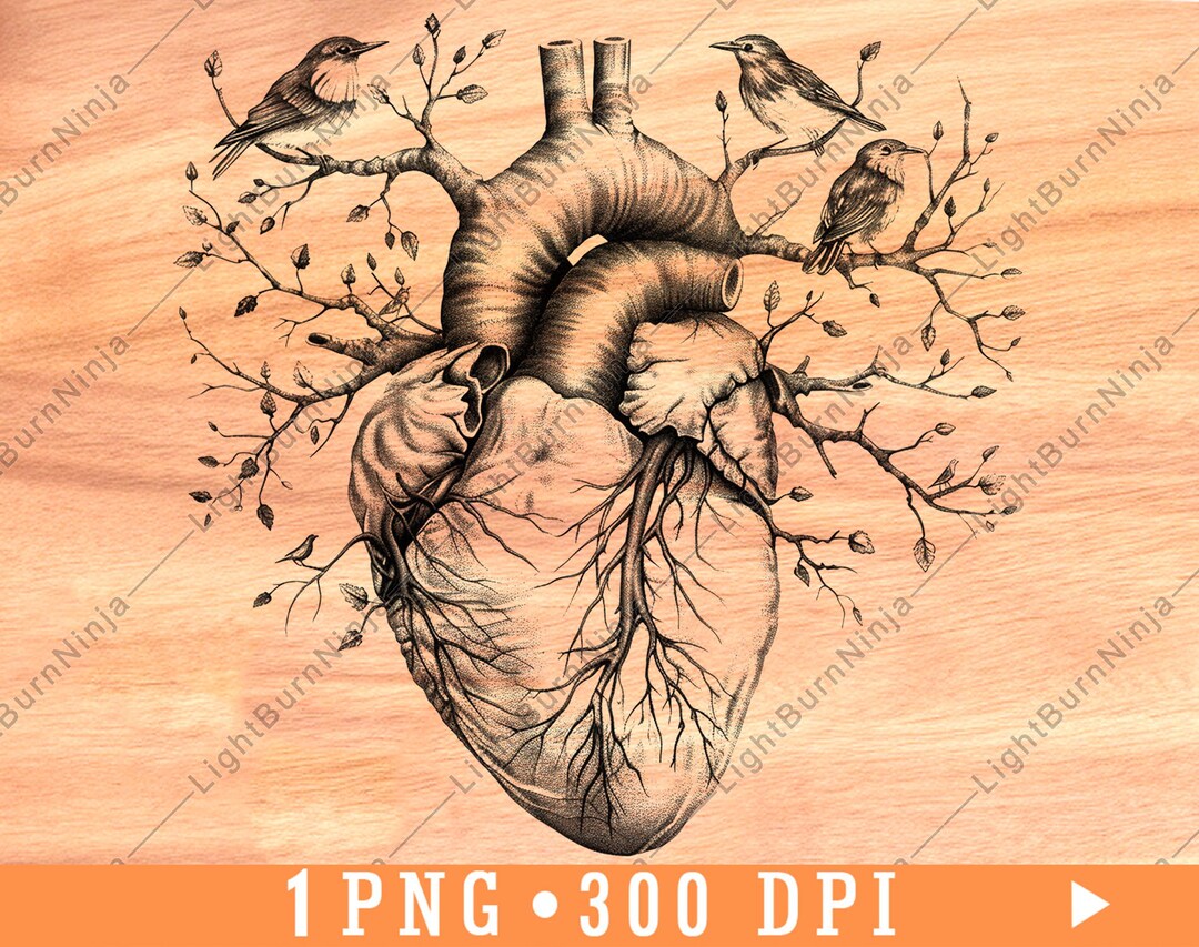 Anatomical Heart Tree With Birds PNG | Nature Love Laser Engraving ...