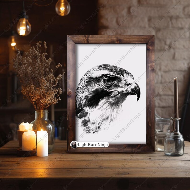 Hawk Head Falcon Bald Eagle Raptor Bird of Prey Predator Wild Laser ...