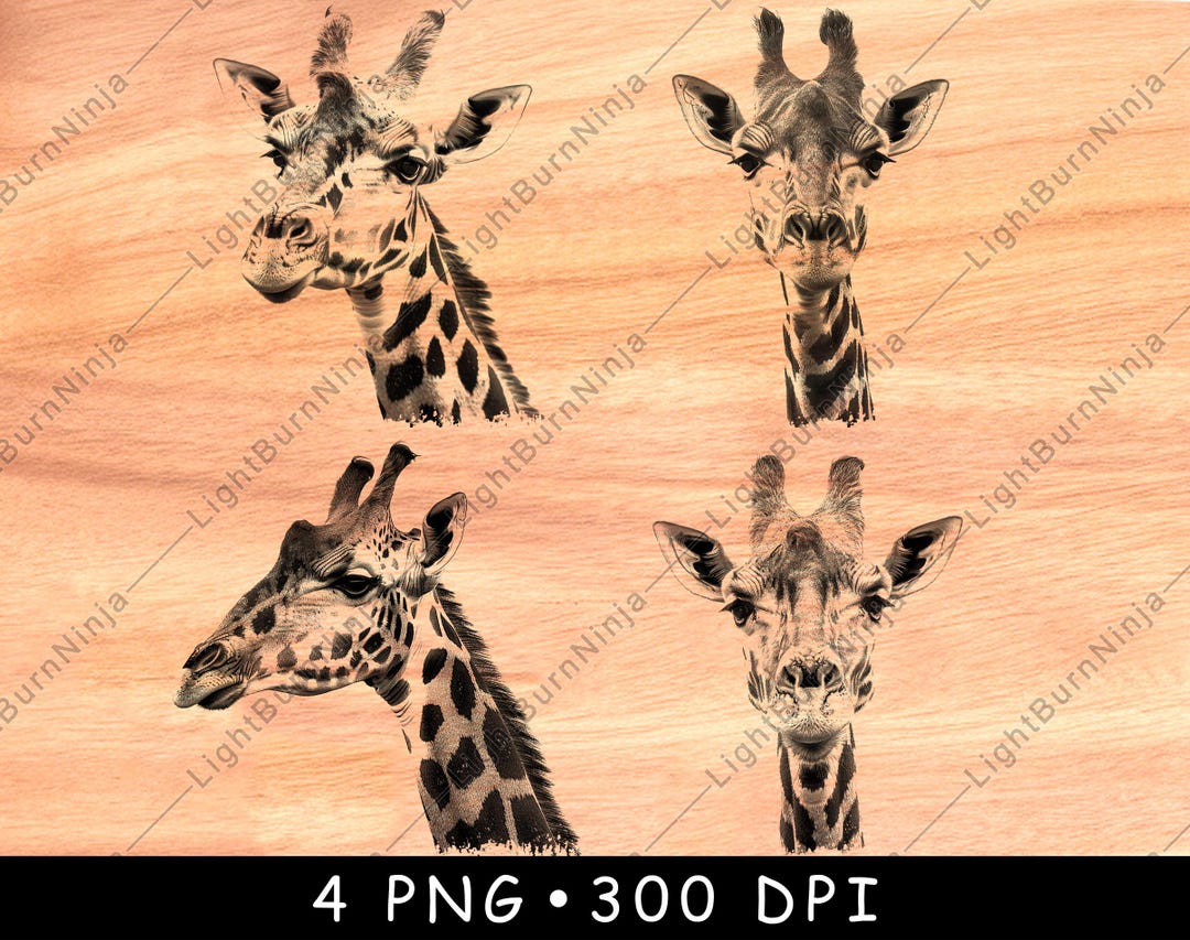 Giraffe Head African Savanna Wildlife Safari Tall Animal Face Laser ...