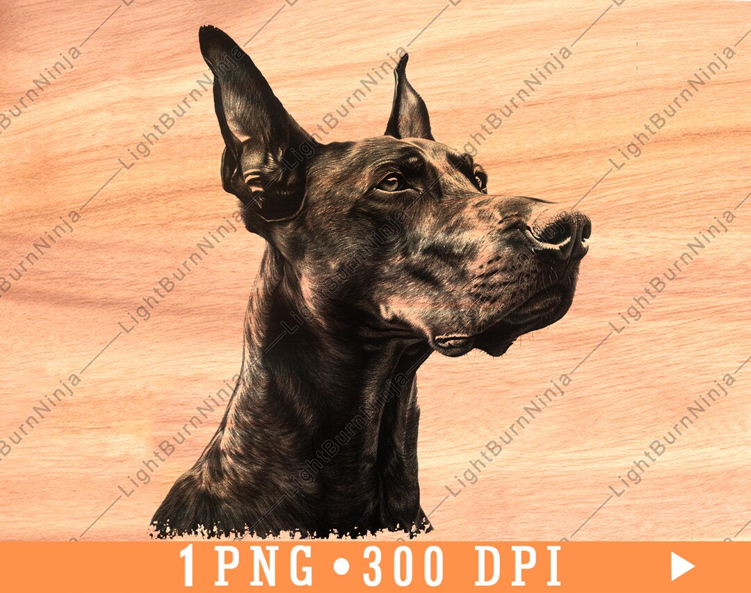 Doberman Pinscher Dog Head Guard Canine Portrait Drawing Gift Laser ...
