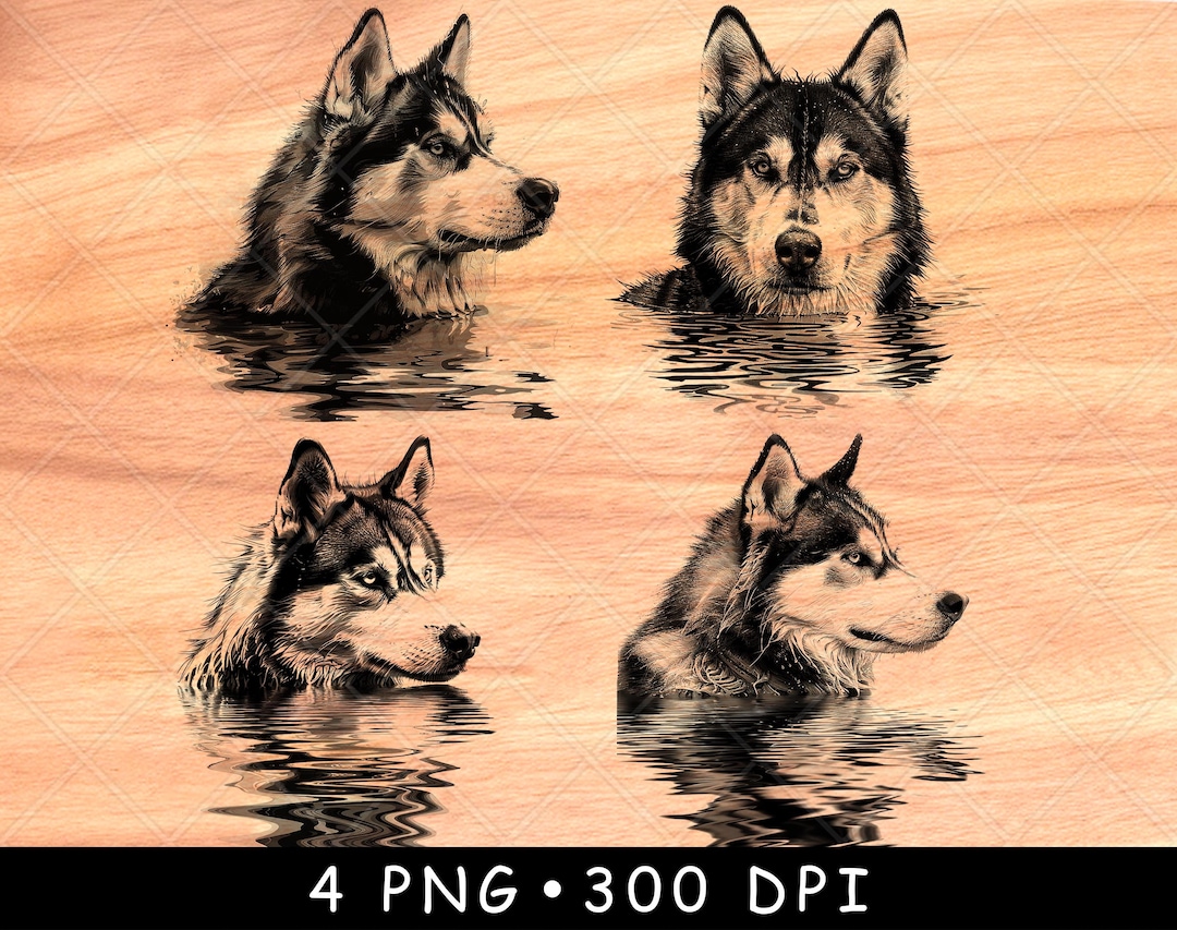 Siberian Husky Water Scene Snow Sled Dog Pet Togo Wildlife Laser File ...