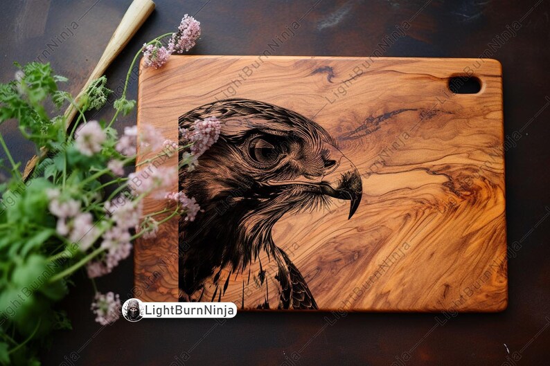 Hawk Head Falcon Bald Eagle Raptor Bird of Prey Predator Wild Laser ...