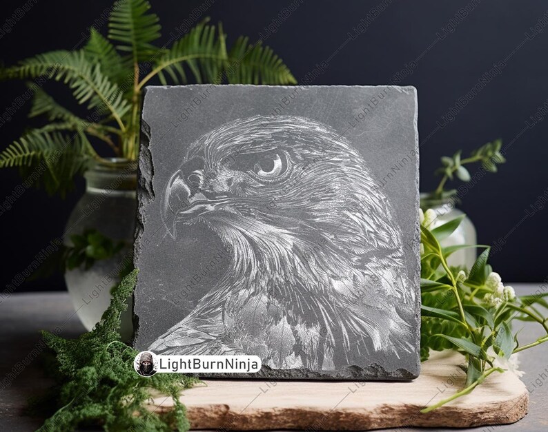 Hawk Head Falcon Bald Eagle Raptor Bird of Prey Predator Wild Laser ...